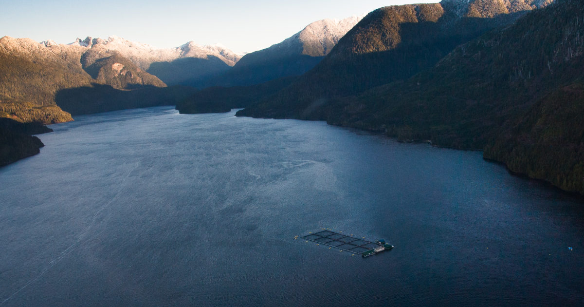 Binns Island - Cermaq Canada