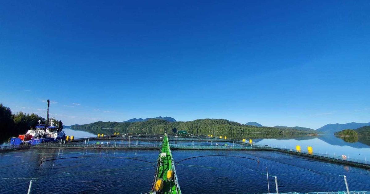 Fortune Channel - Cermaq Canada