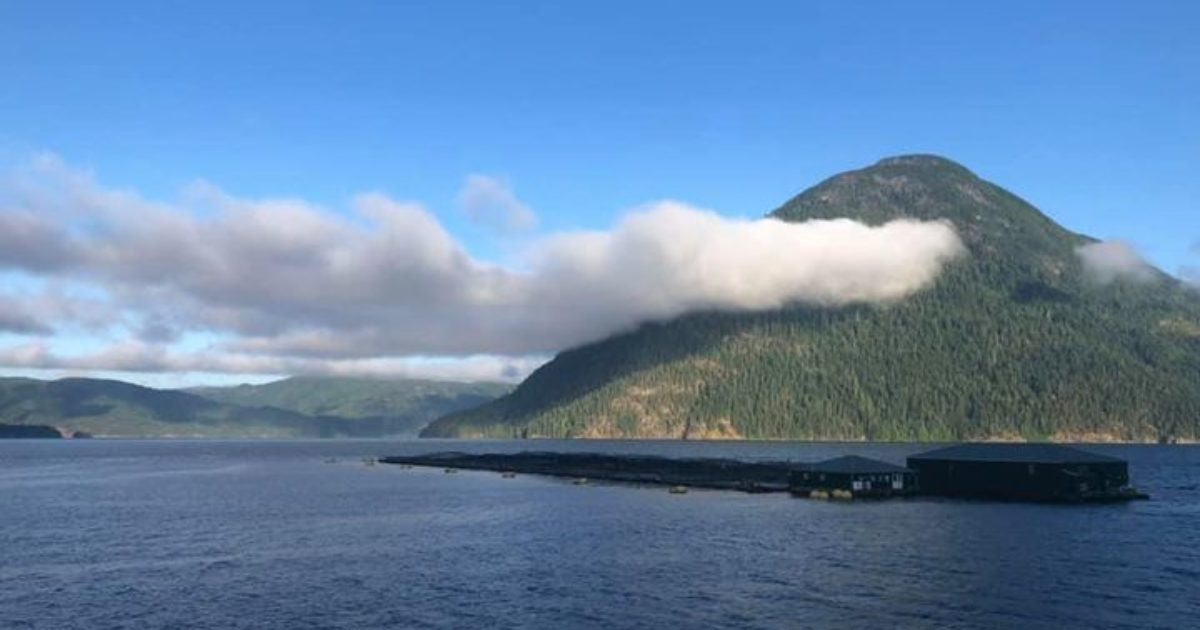 Raza Island - Cermaq Canada