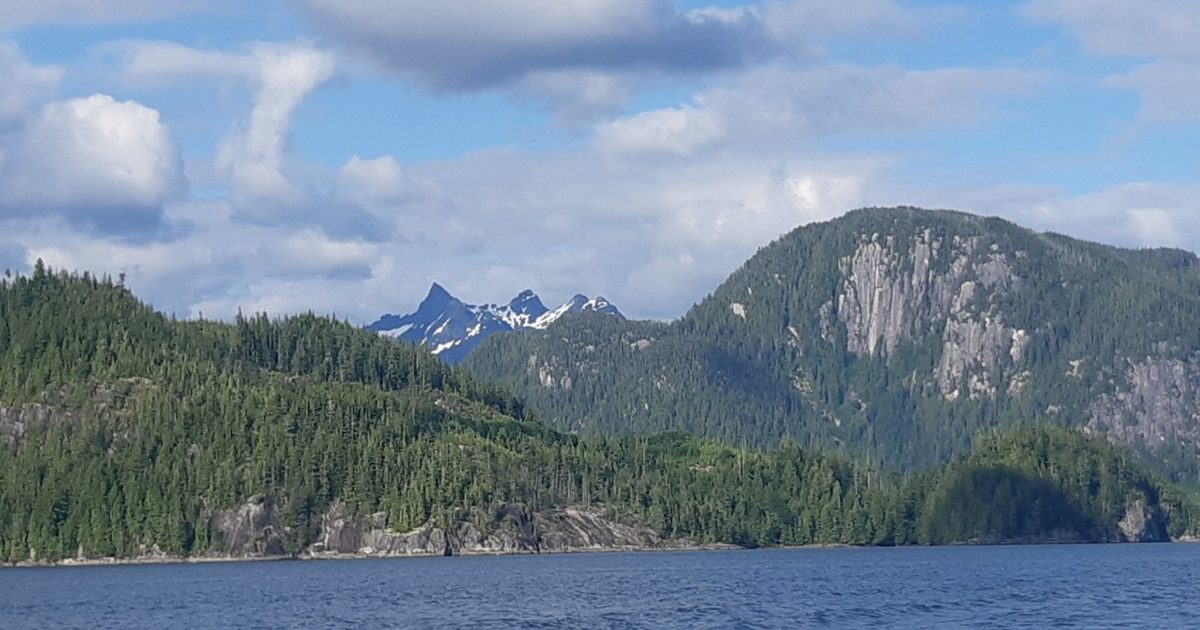 Little Bear Bay - Cermaq Canada