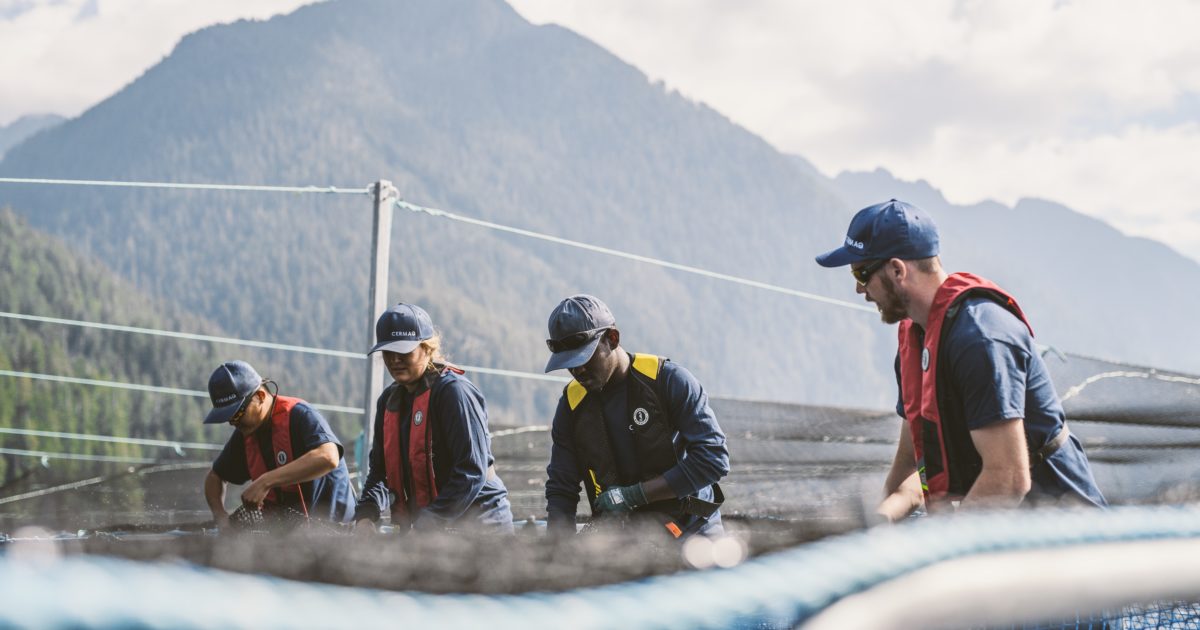 Home - Cermaq Canada