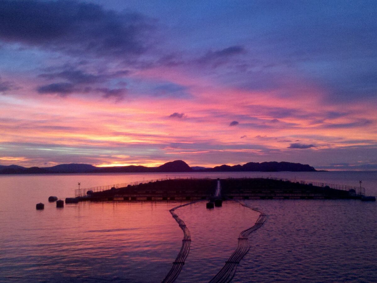 Where We Farm - Cermaq Canada