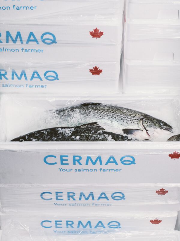 Who we are and what we do - Cermaq Canada