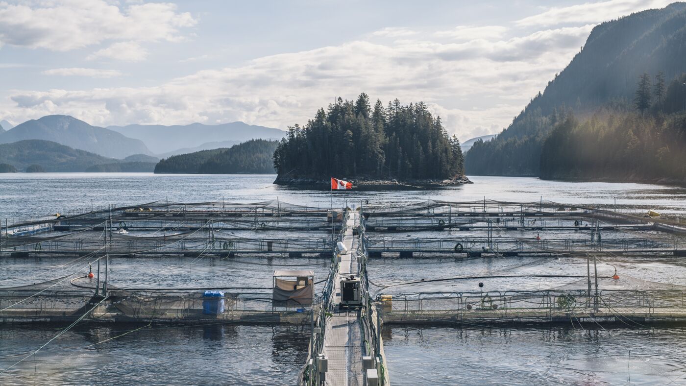From egg to plate - Cermaq Canada