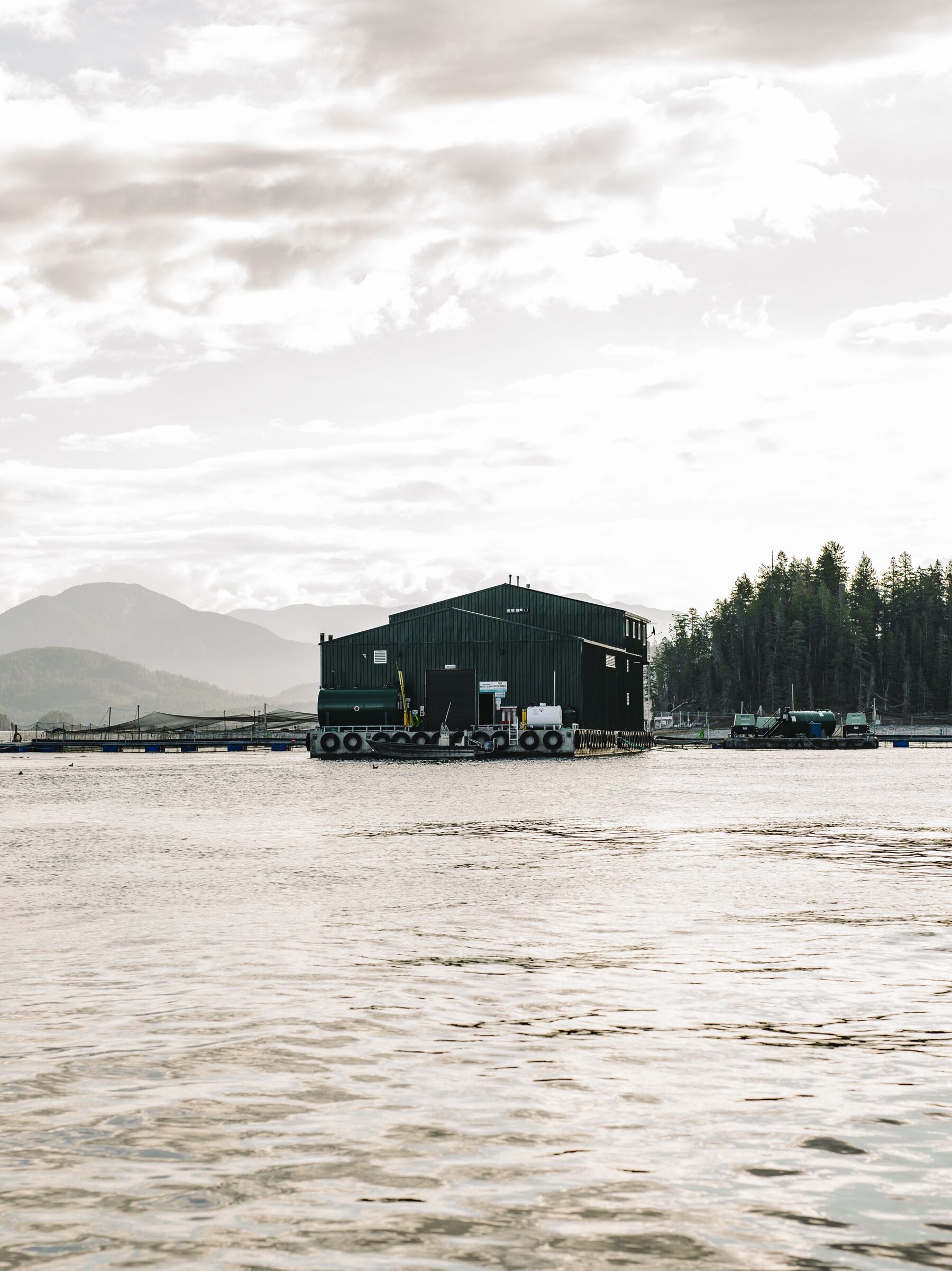Home - Cermaq Canada