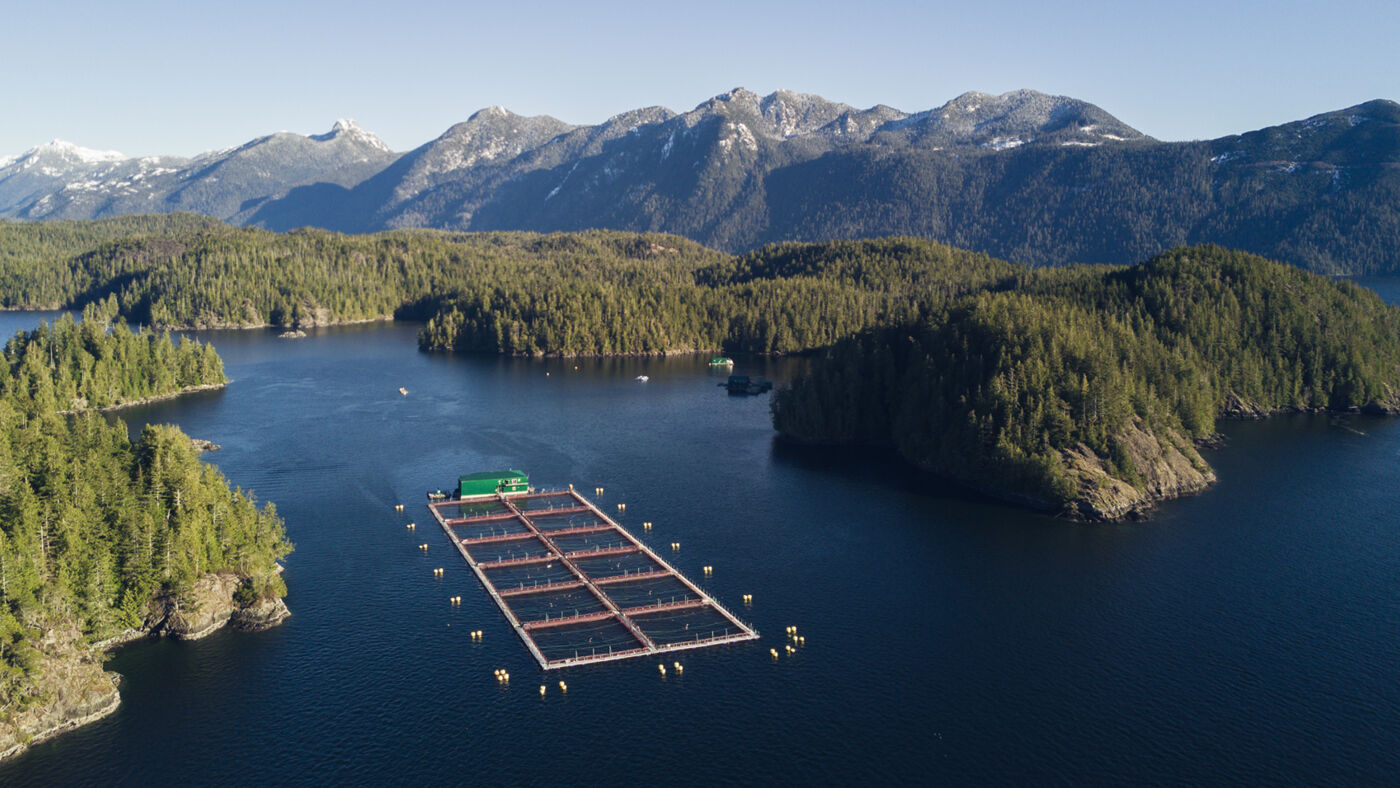 Cermaq Canada and Ahousaht Nation renew protocol agreement - Cermaq Canada