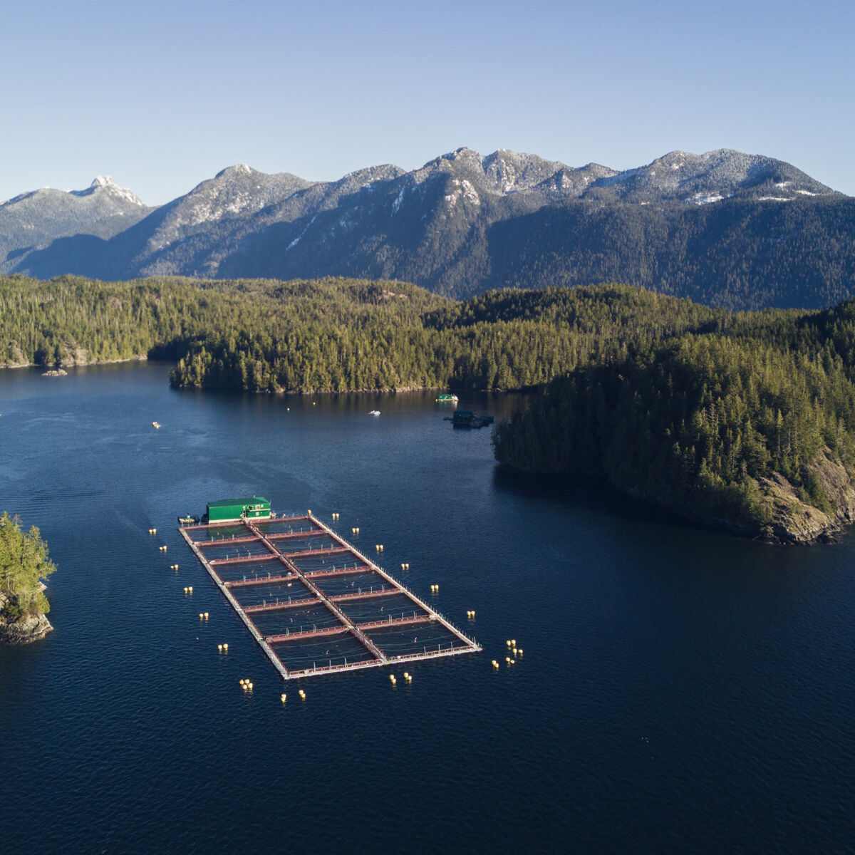 News - Cermaq Canada